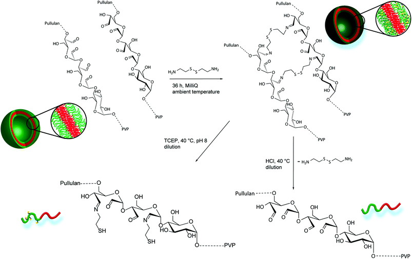 Pure hydrophilic block copolymer vesicles with redox- and pH-cleavable ...
