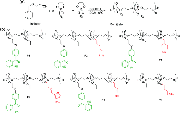 Surface-attached poly(phosphoester)-hydrogels with benzophenone groups ...