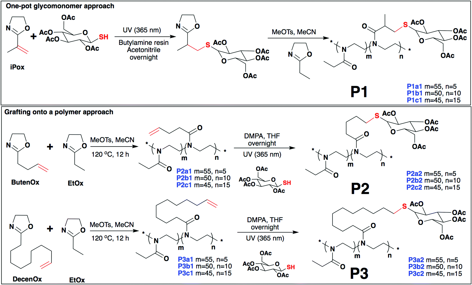 The effect of linker length on ConA and DC-SIGN binding of S -glucosyl ...