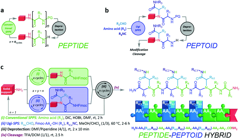 Ugi multicomponent reaction to prepare peptide–peptoid hybrid structures with diverse chemical ...
