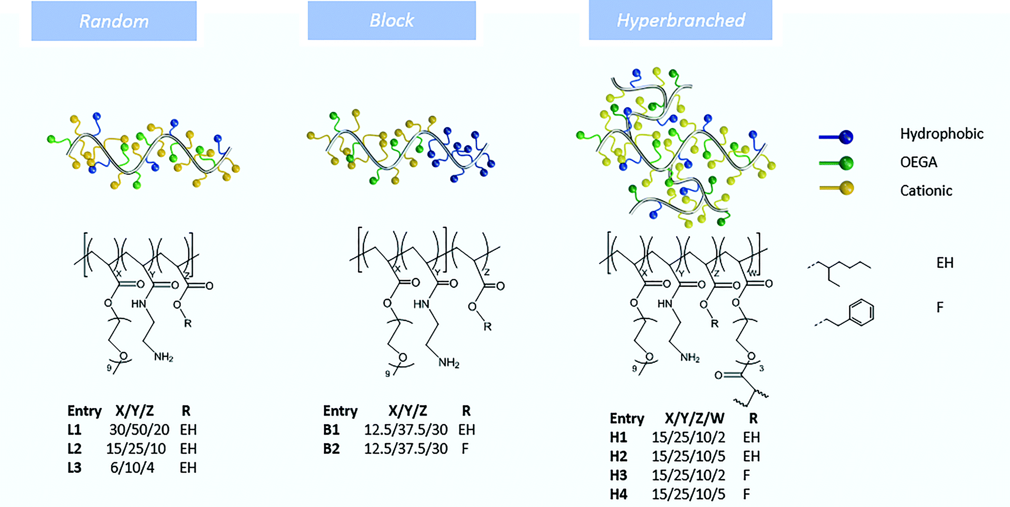 Correction: The effects of polymer topology and chain length on the ...