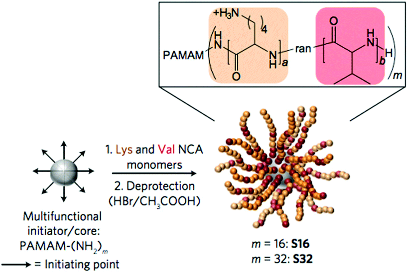 Biomimetic antimicrobial polymers: recent advances in molecular design ...