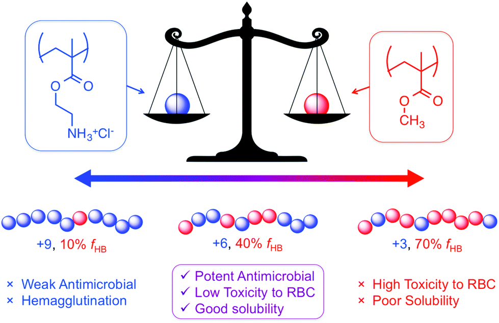 Biomimetic antimicrobial polymers: recent advances in molecular design ...