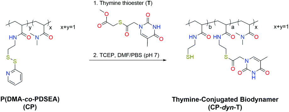 Thioester Functional Group
