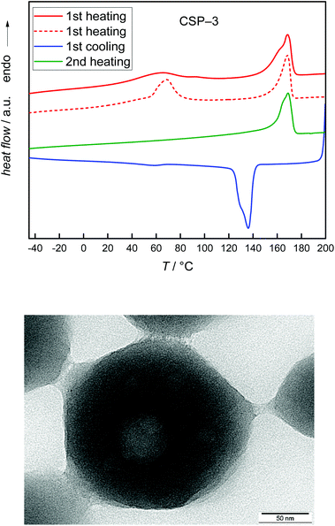 Poly(meth)acrylate-PVDF core–shell particles from emulsion ...