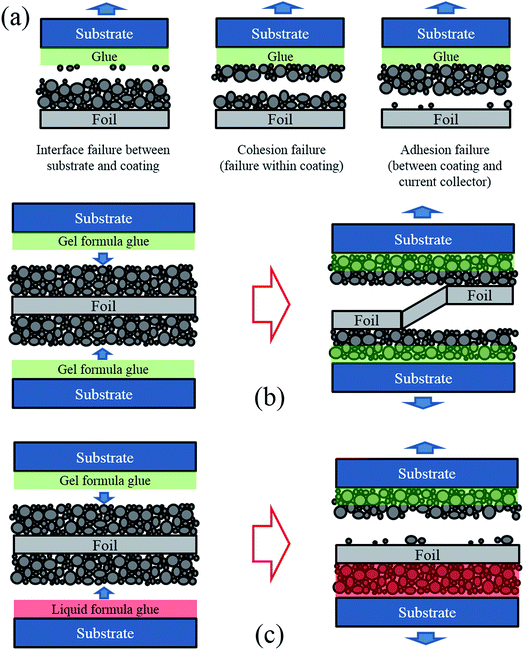 Adhesion strength of the cathode in lithium-ion batteries under ...