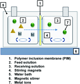 A polymer inclusion membrane composed of the binary carrier PC-88A and ...