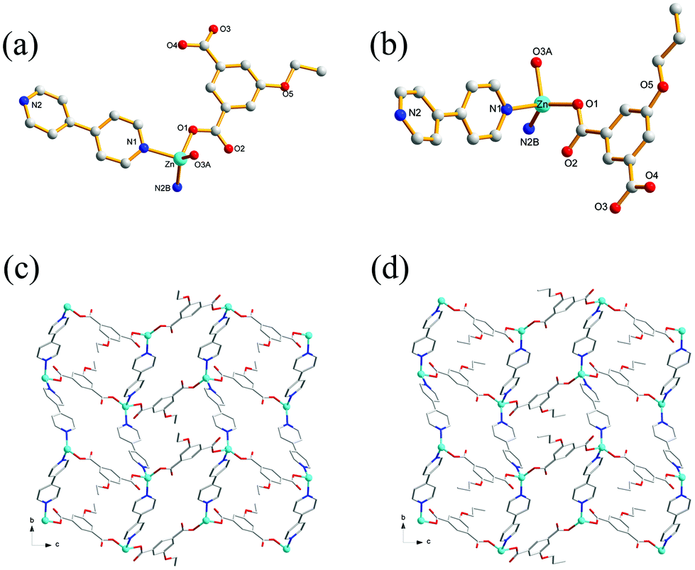 Assembly of a series of zinc coordination polymers based on 5-functionalized isophthalic acids ...