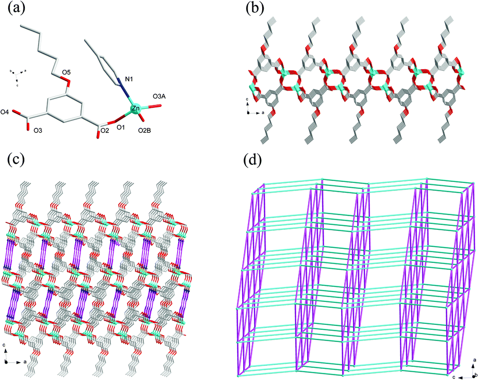 Assembly of a series of zinc coordination polymers based on 5-functionalized isophthalic acids ...