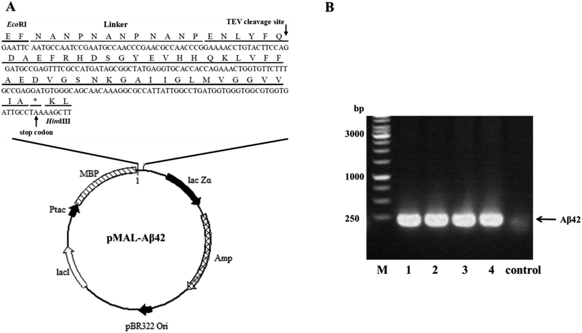 Highly efficient soluble expression, purification and characterization ...