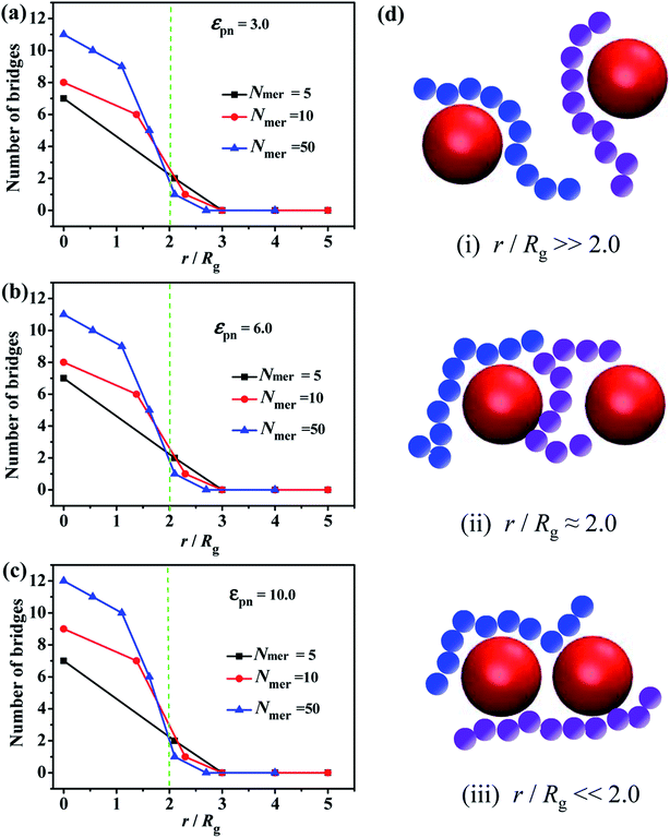 Formation mechanism of bound rubber in elastomer nanocomposites: a ...