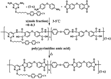 Mesogen-co-polymerized transparent polyimide as a liquid-crystal ...