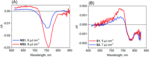 Differences in photoinduced optical transients in perovskite absorbers ...