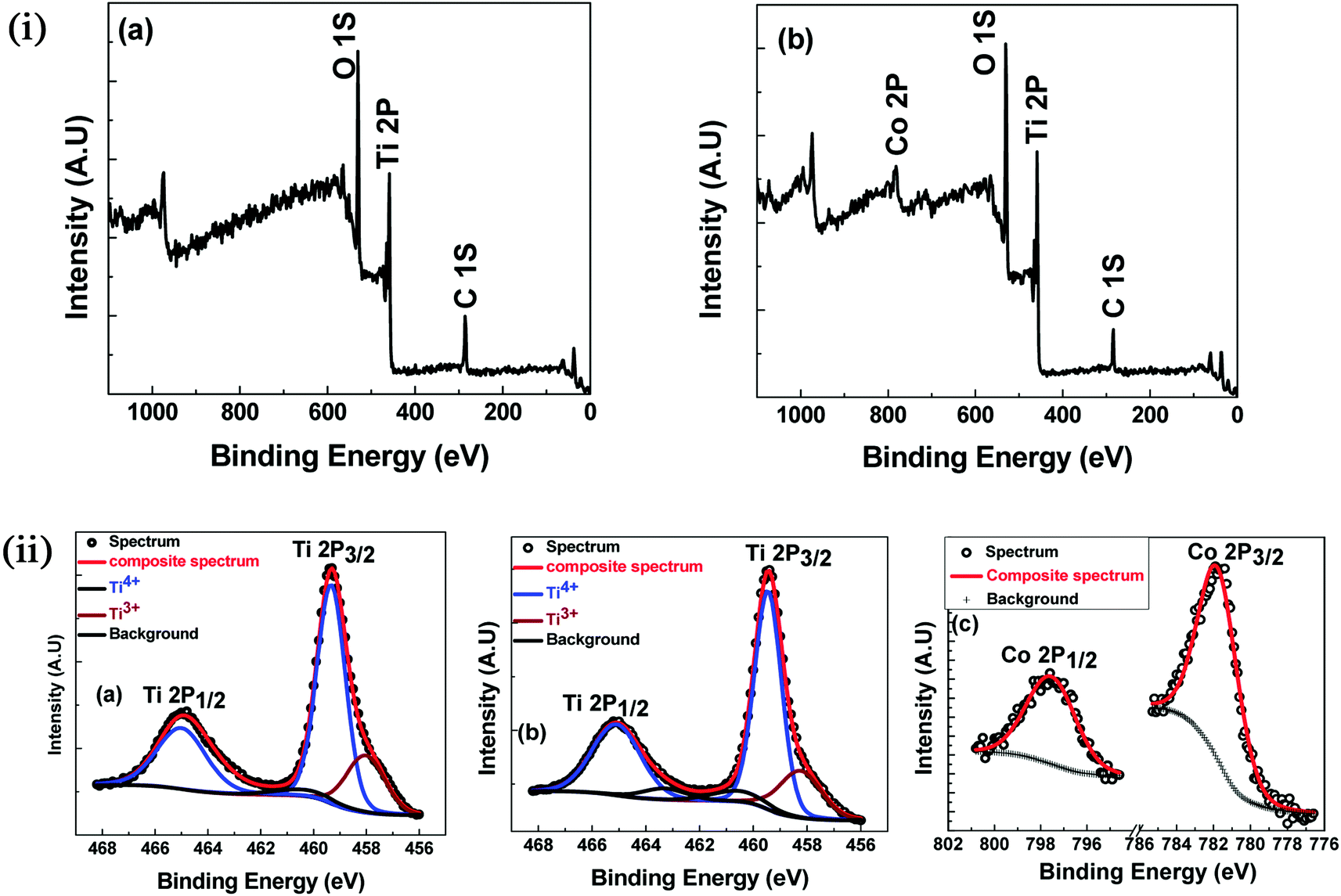 Structural and magnetic study of undoped and cobalt doped TiO 2 ...
