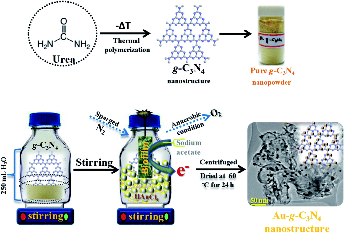 Environmentally sustainable biogenic fabrication of AuNP decorated-graphitic g-C 3 N 4 ...