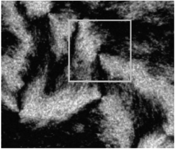 Liquid crystallinity of carbon nanotubes - RSC Advances (RSC Publishing ...