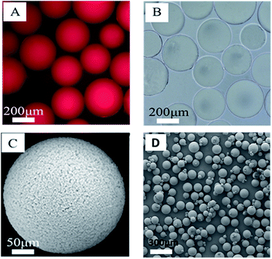 Synthesis and plugging behavior of fluorescent polymer microspheres as ...