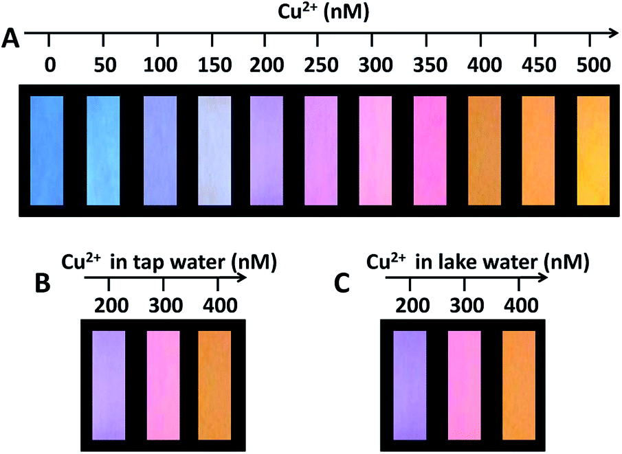 Semi-quantitative and visual assay of copper ions by fluorescent test ...