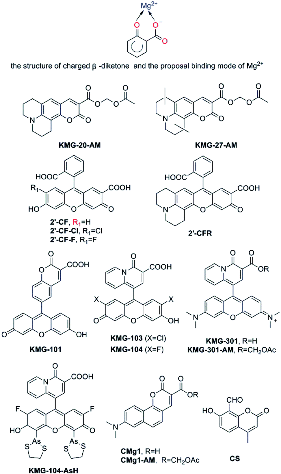 Fluorescent probes for the detection of magnesium ions (Mg 2+ ): from ...