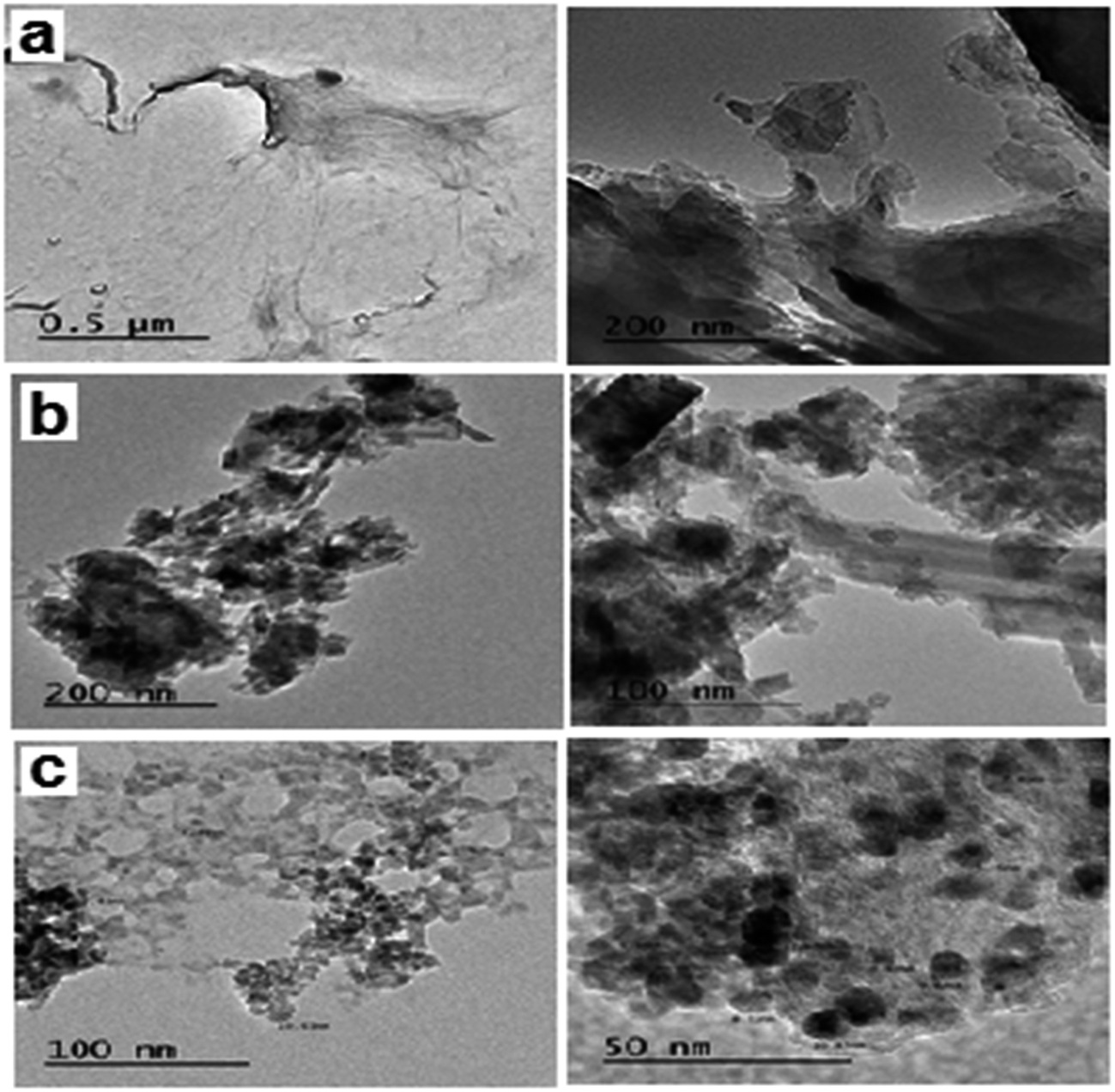 Graphene oxide–metal oxide nanocomposites: fabrication ...