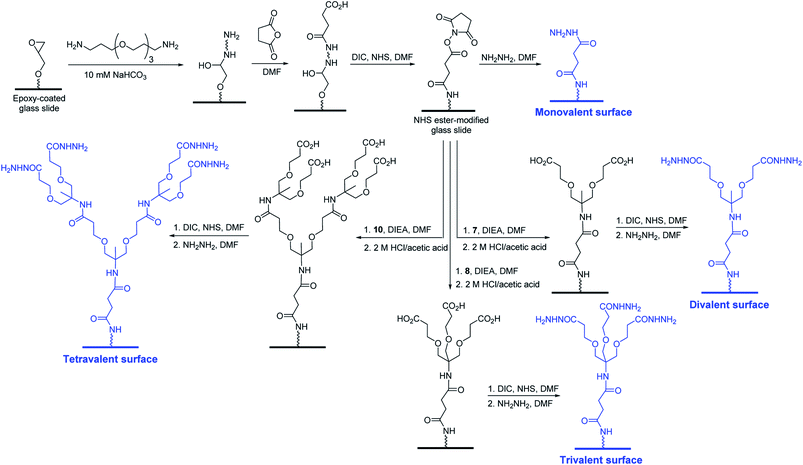 Analysis of binding properties of pathogens and toxins using ...