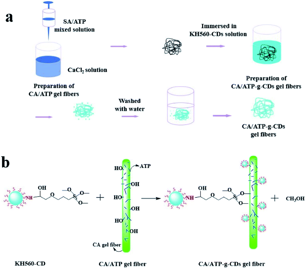 Preparation and properties of CA/ATP- g -CDs gel fibers for ...