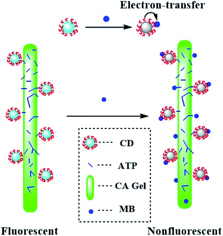 Preparation and properties of CA/ATP- g -CDs gel fibers for ...