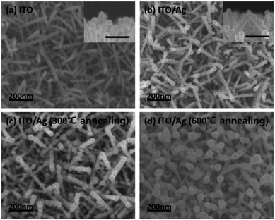 Hierarchical Ag nanostructures on Sn-doped indium oxide nano-branches ...