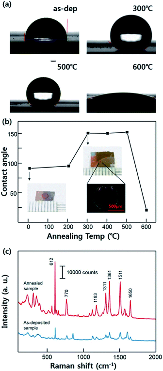 Hierarchical Ag nanostructures on Sn-doped indium oxide nano-branches ...