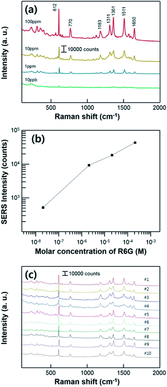 Hierarchical Ag nanostructures on Sn-doped indium oxide nano-branches ...