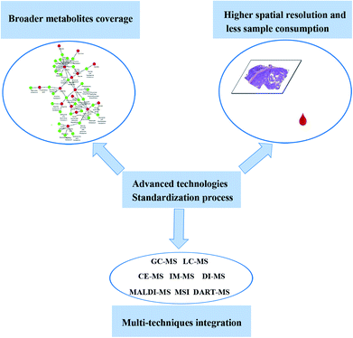 Advances in mass spectrometry-based metabolomics for investigation of ...