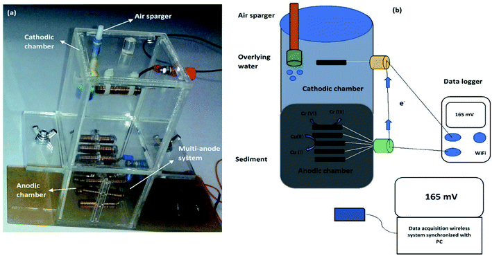 Electrochemistry and microbiology of microbial fuel cells treating ...