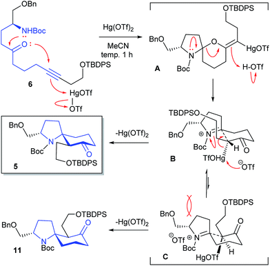 Formal total synthesis of histrionicotoxin alkaloids via Hg(OTf) 2 ...