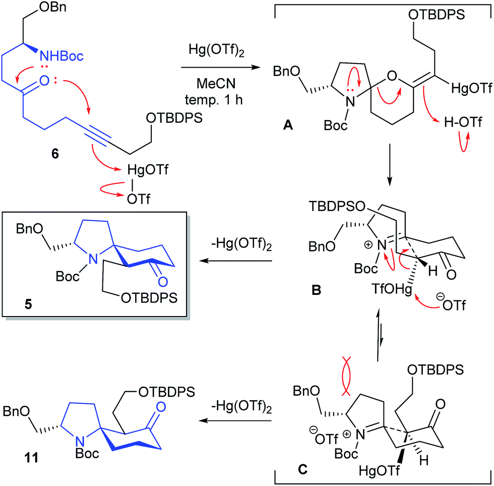 Formal total synthesis of histrionicotoxin alkaloids via Hg(OTf) 2 ...