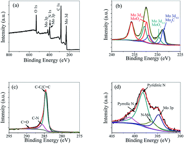 In situ synthesis of molybdenum carbide/N-doped carbon hybrids as an ...
