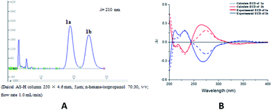 Lignans and isoflavonoids from the stems of Pisonia umbellifera - RSC ...
