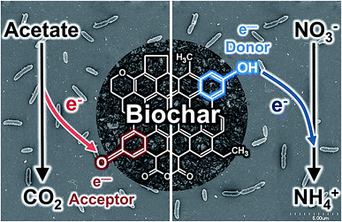 Recent progress in biochar-supported photocatalysts: synthesis, role of ...