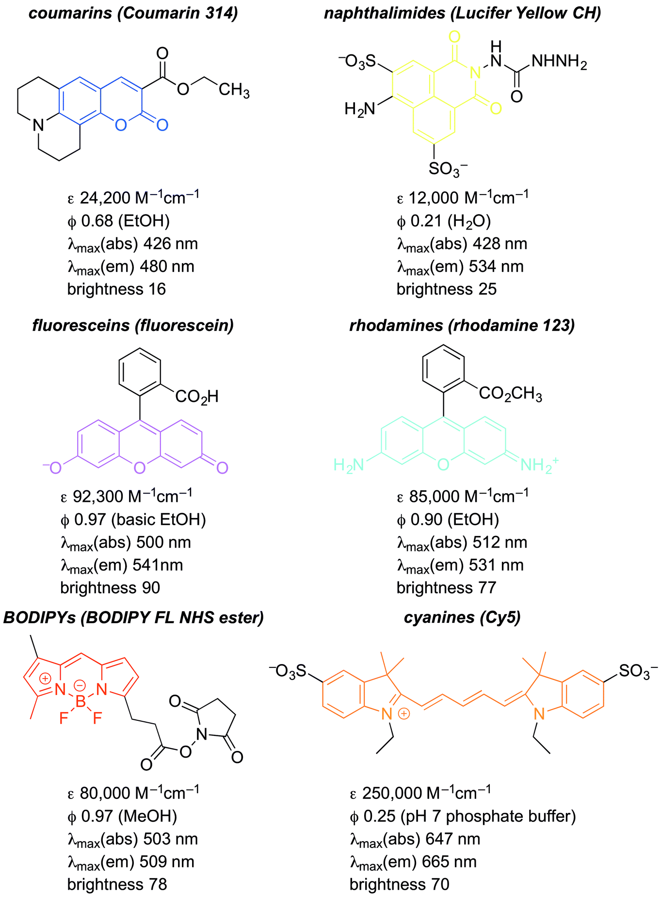 Small-molecule fluorescent probes and their design - RSC Advances (RSC ...
