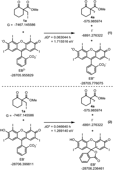Organic dye-catalyzed radical ring expansion reaction - RSC Advances ...
