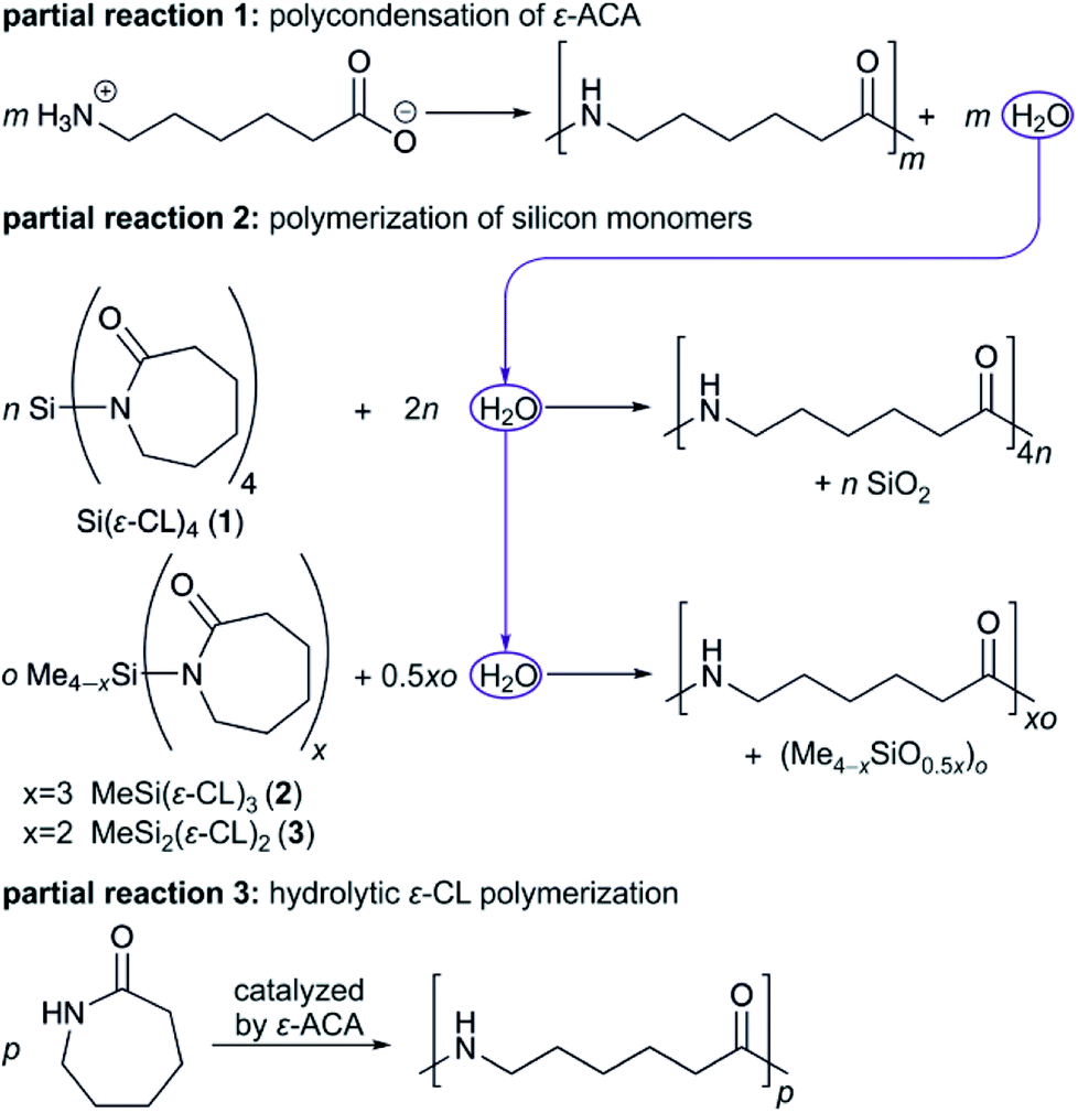 Ternary composites by an in situ hydrolytic polymerization process ...