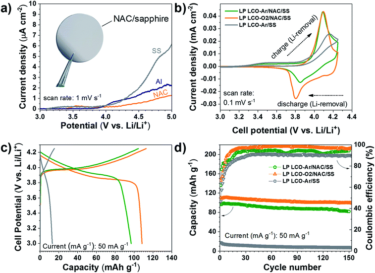 Ni–Al–Cr superalloy as high temperature cathode current collector for ...
