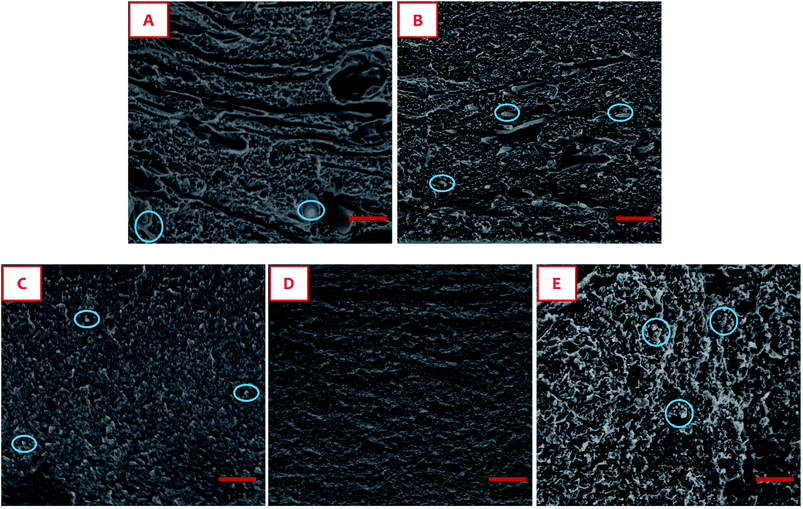 Polyimide film with low thermal expansion and high transparency by self ...