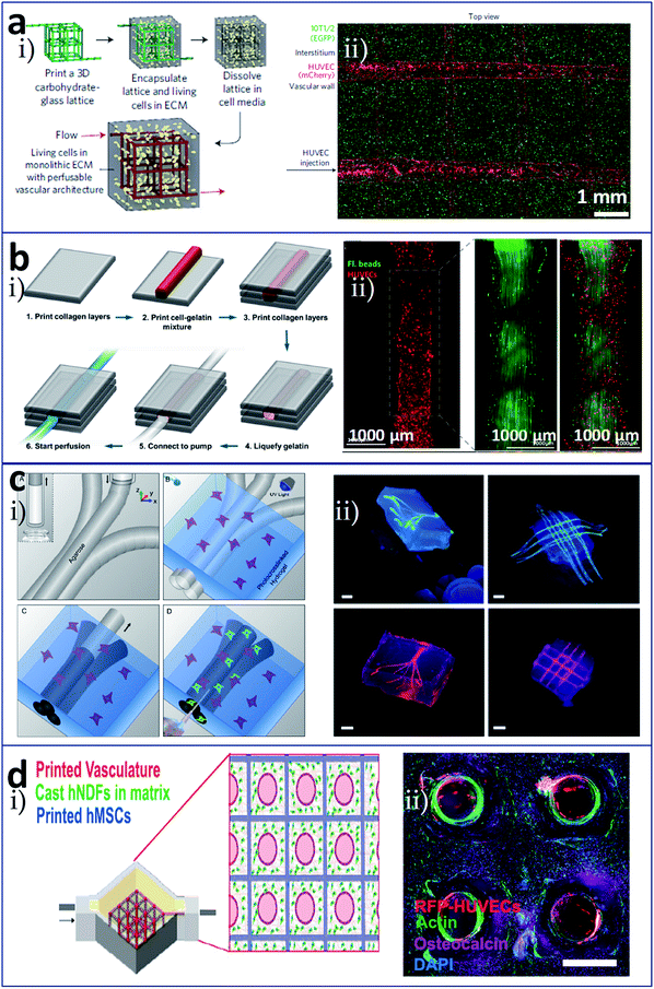 Bioprinting of 3D tissues/organs combined with microfluidics - RSC ...