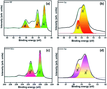 A vertical WSe2–MoSe2 p–n heterostructure with tunable gate ...