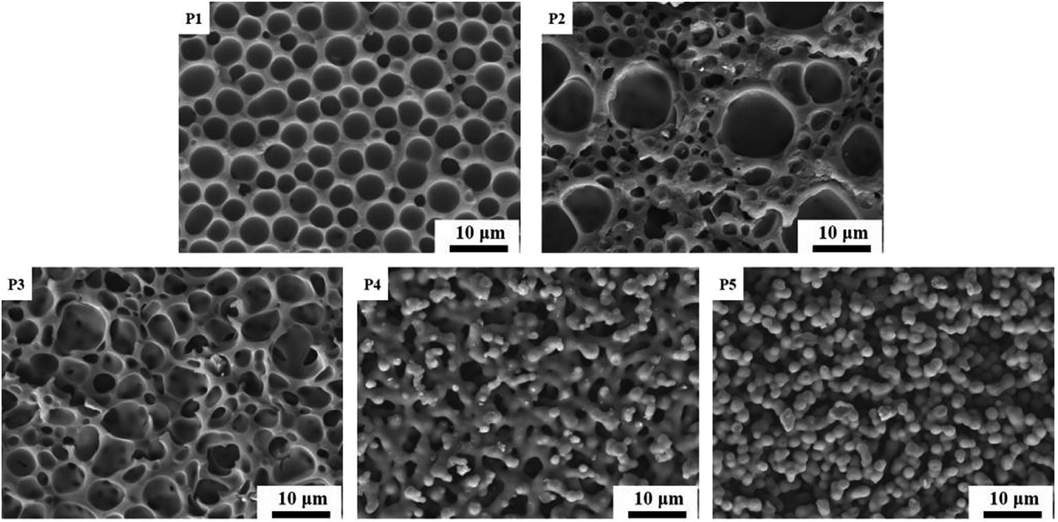 A novel light diffuser based on the combined morphology of polymer ...