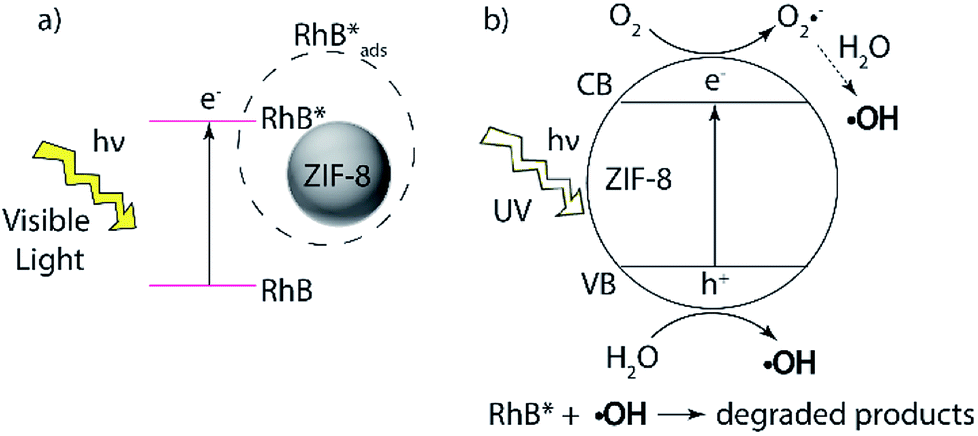 Rhodamine B degradation by nanosized zeolitic imidazolate framework-8 ...