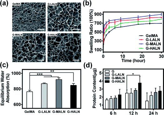 Injectable alendronate-functionalized GelMA hydrogels for ...