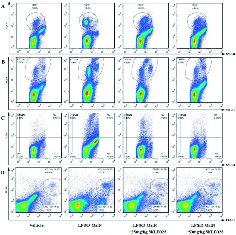 SKLB023 protects mice against acute liver injury by inhibiting ...