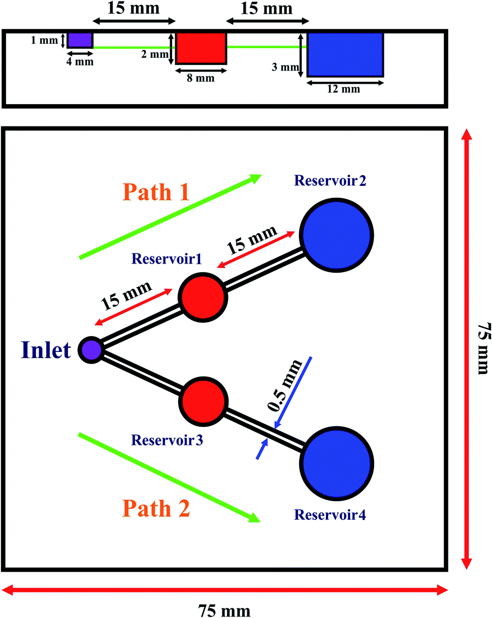 New portable smartphone-based PDMS microfluidic kit for the ...