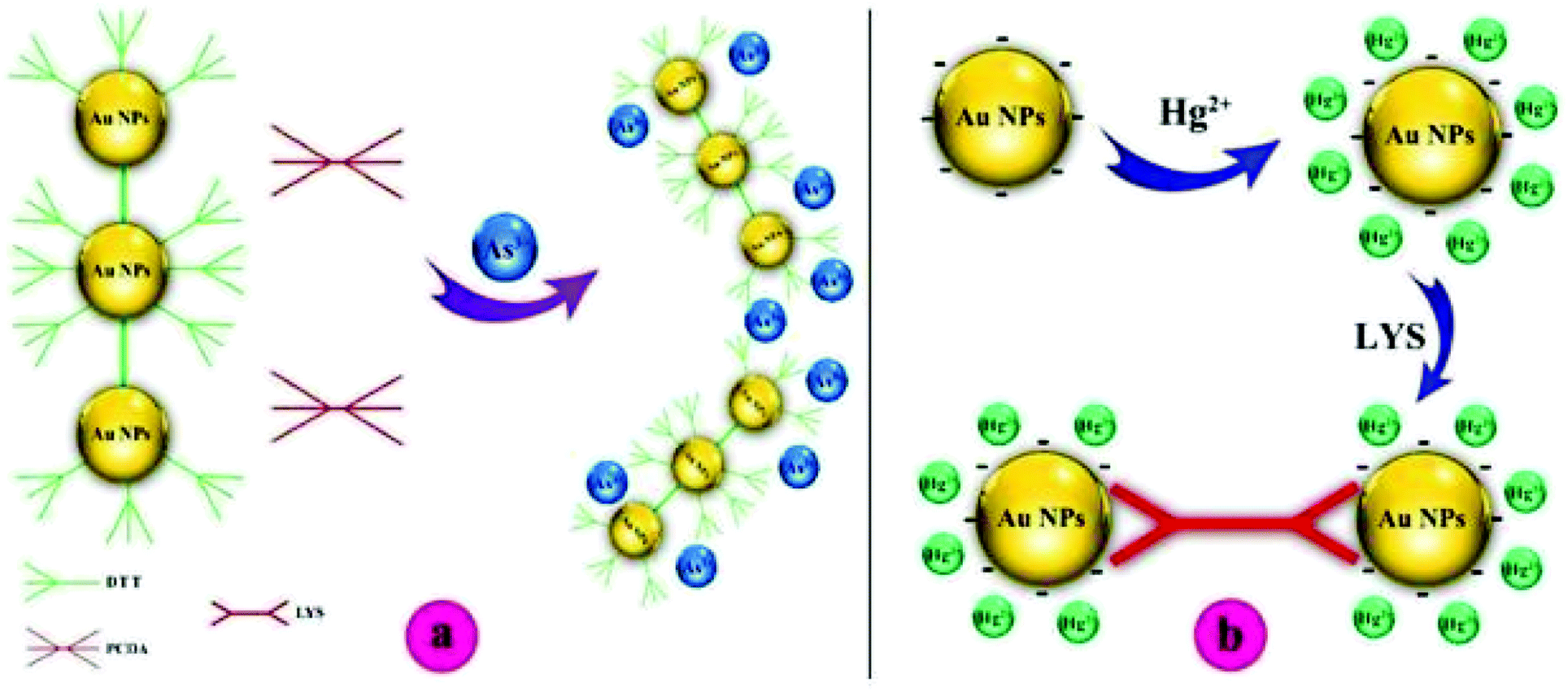 New portable smartphone-based PDMS microfluidic kit for the ...